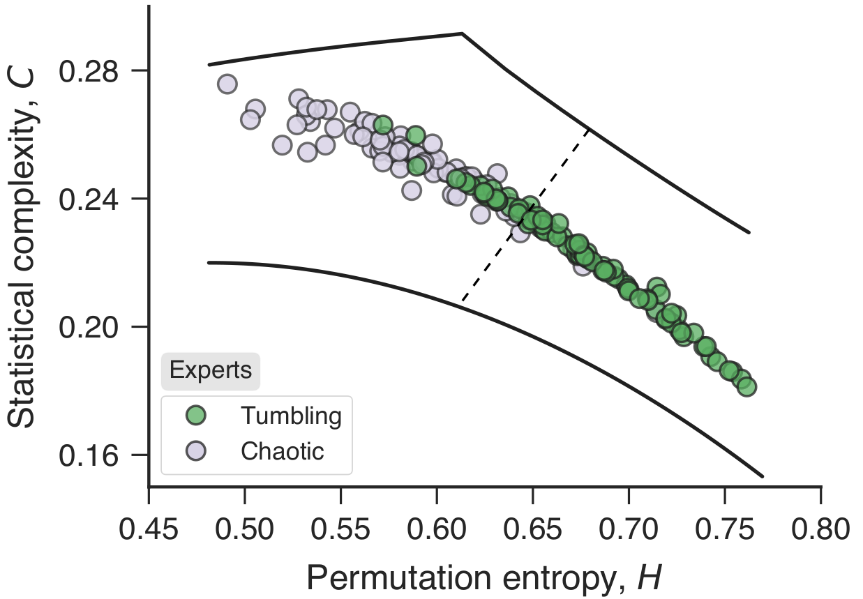 Clustering free-falling paper motion with complexity and entropy | Complex-Lab